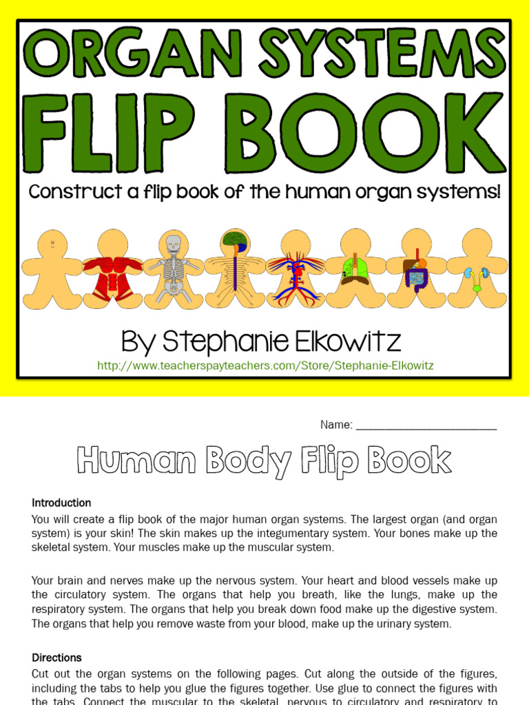 Human Organ Systems Flip Book Guide | PDF | Human Body | Human Anatomy