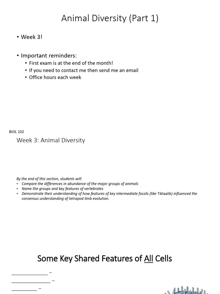 BIO102 Week 3 Animal Diversity | PDF | Vertebrates | Cell (Biology)