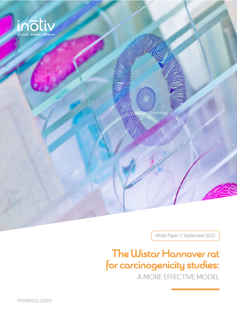 White Paper Wistar Han Rat for Carcinogenicity Studies | PDF ...