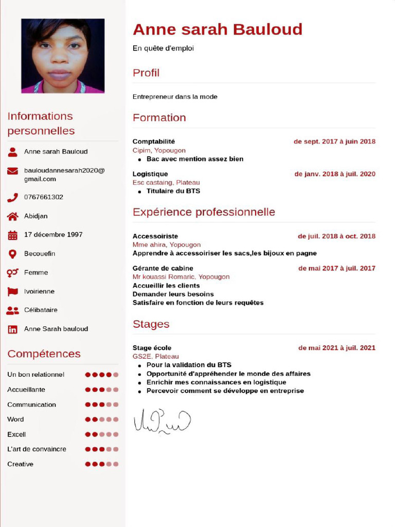 Anne Sarah cv-1 | PDF