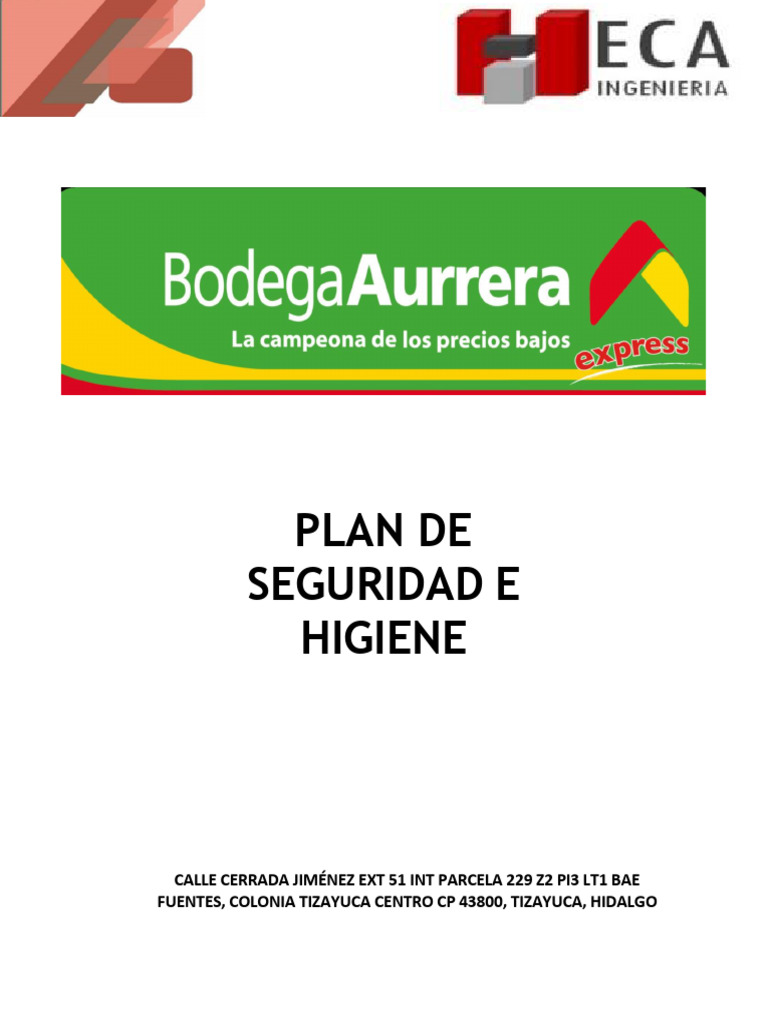 PLAN DE SEGURIDAD E HIGIENE | PDF | Hospital | Riesgo