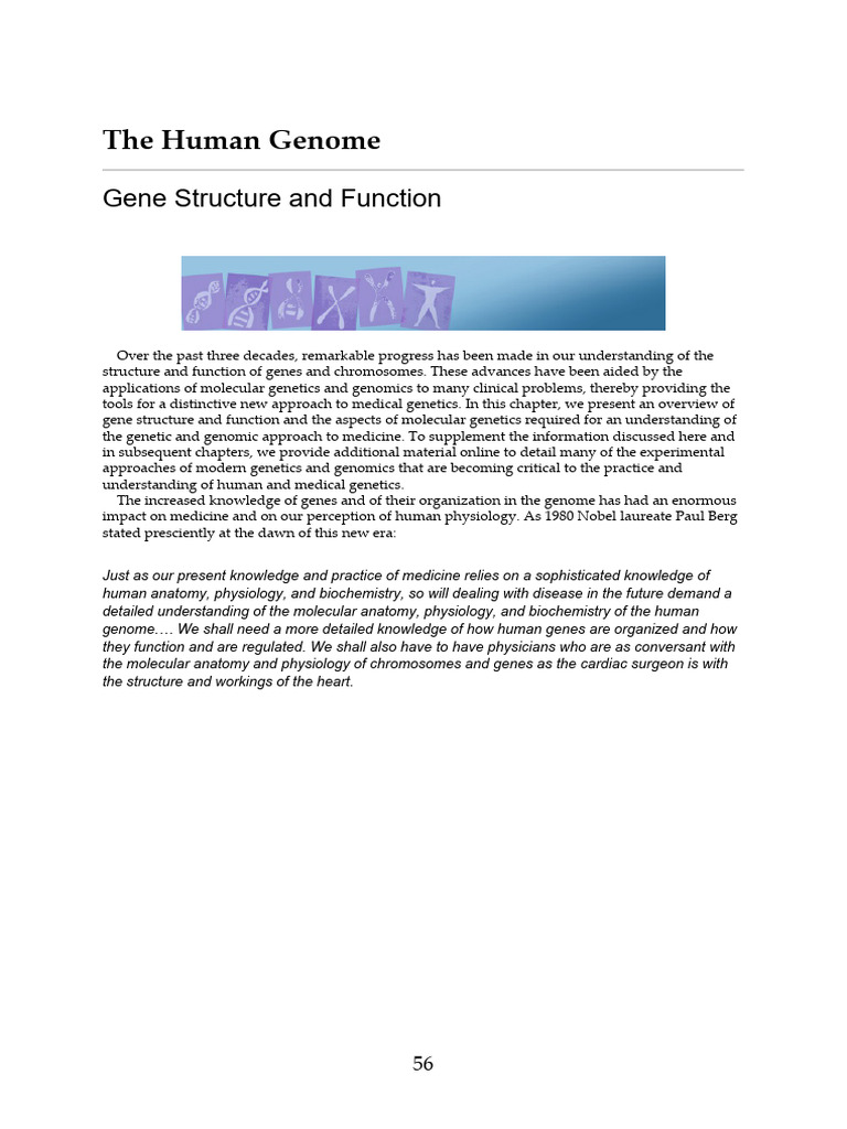 Gene Structure and FN PDF | PDF