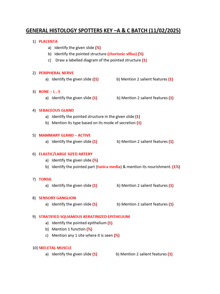General Histology Spotters Key 11.02.25 | PDF | Epithelium | Skin