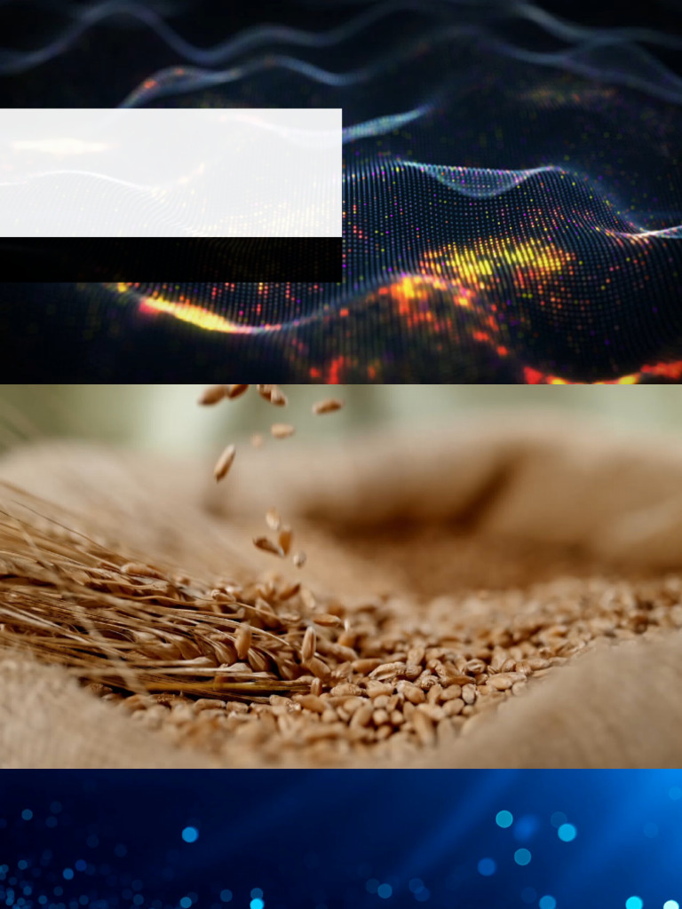 Backgrounds | PDF