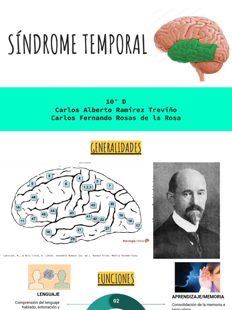 Síndrome Temporal | PDF | Lóbulo temporal | Sistema nervioso