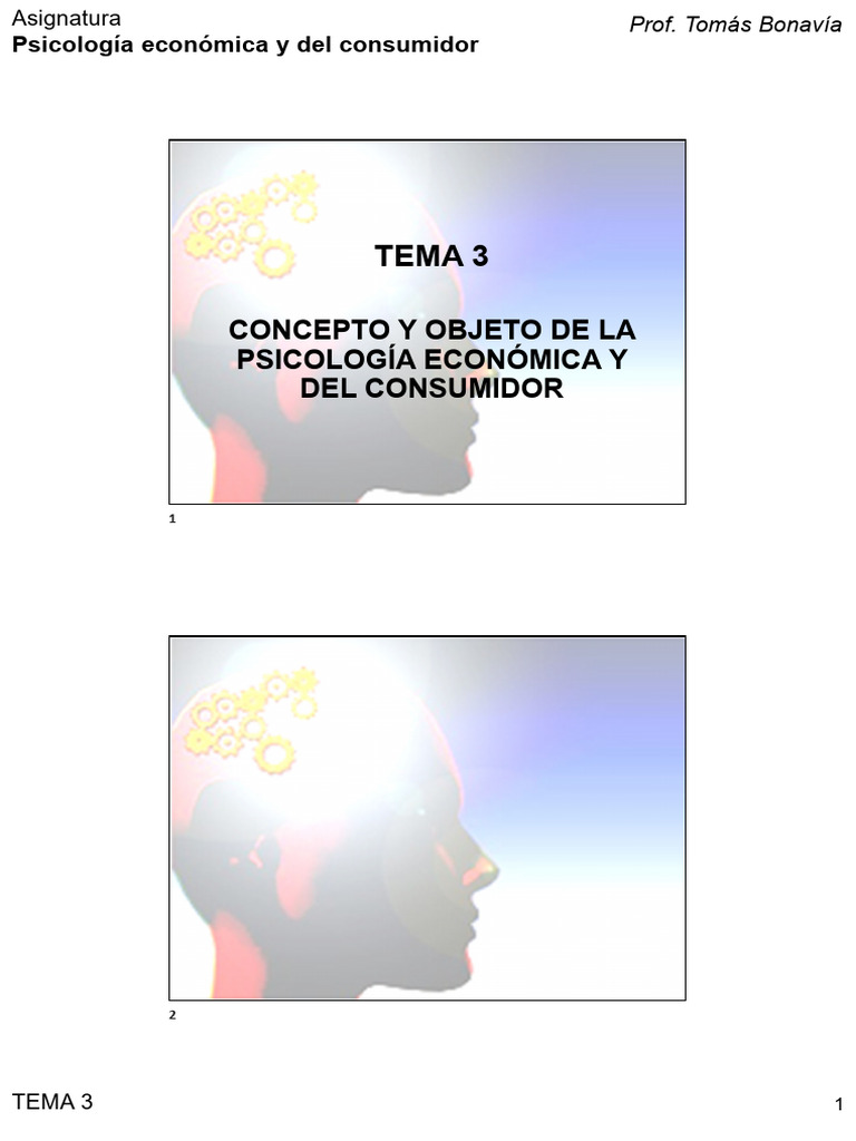 TEMA 3 Diapositivas | PDF | Racionalidad | Sicología
