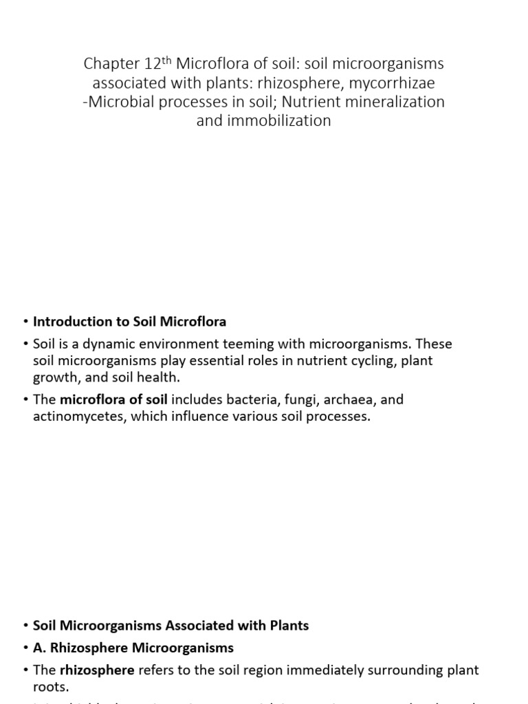 Chapter 12th Microflora of Soil | PDF | Soil | Sulfur