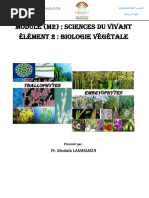 Le Carpelle : Organe des Angiospermes | PDF | Fruit | Embryon