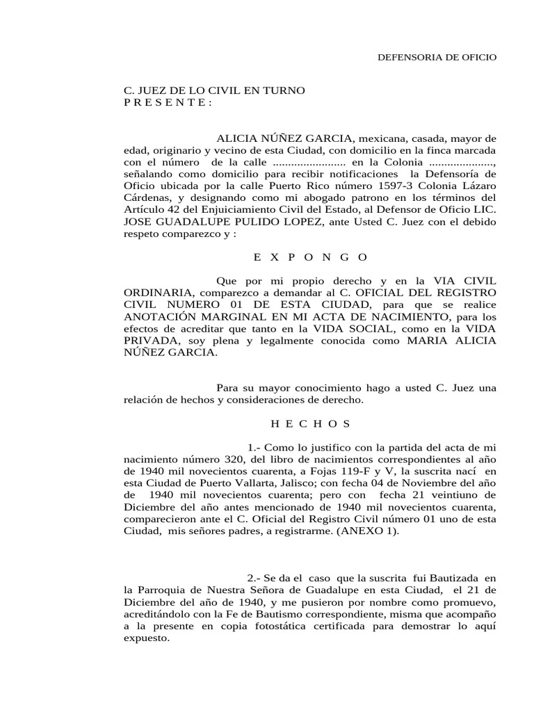 Anotacion Acta Añlicia Nuñez Garcia | PDF | Demanda judicial | Justicia