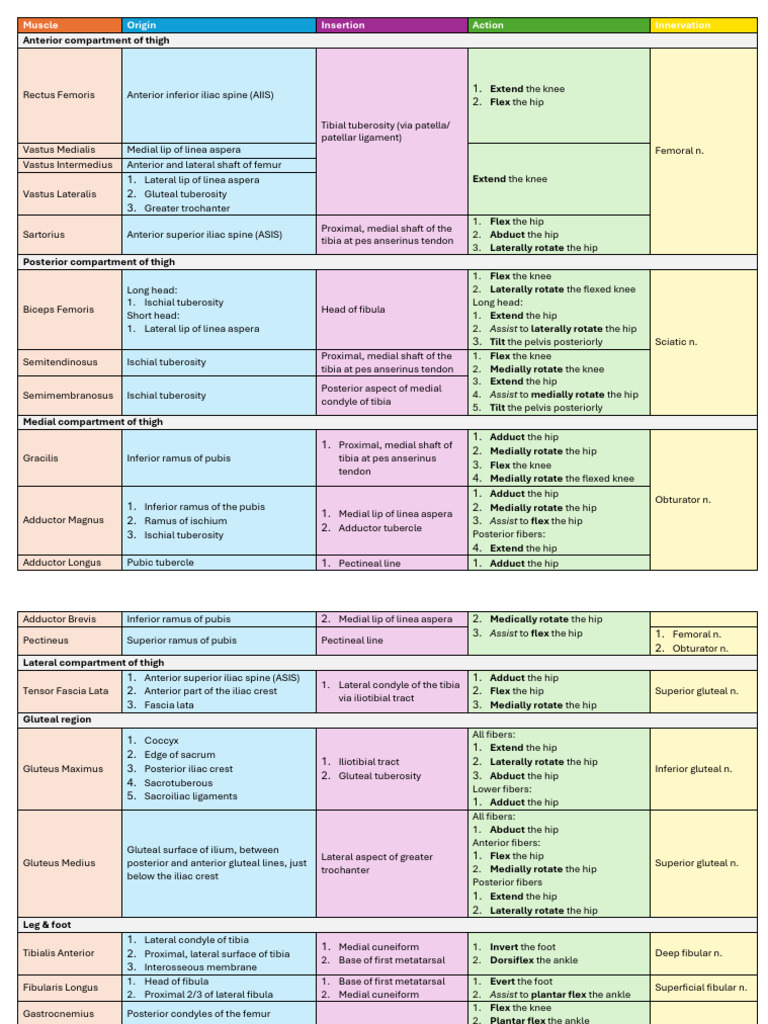 CSL1 Midterm 2 | PDF | Knee | Hip