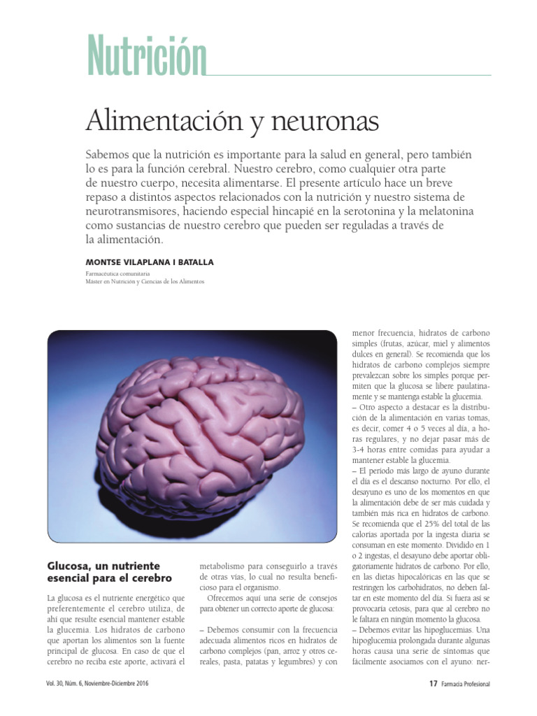 Nutrientes y Cerebro | PDF | Triptófano | Serotonina
