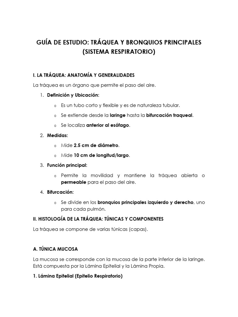Tráquea y Bronquios Principales | PDF | Epitelio | Cartílago