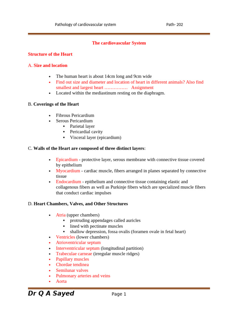 Cardiovascular System Pathology Overview | PDF | Heart | Atherosclerosis