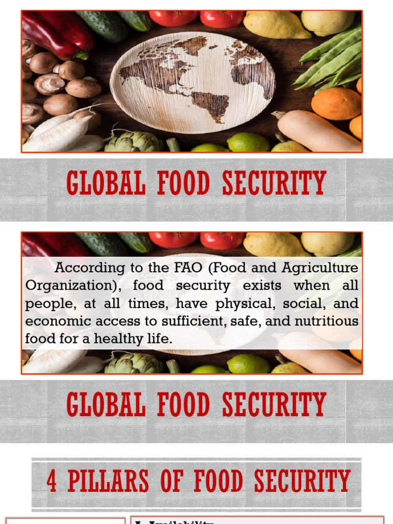 Global Food Security - 024529 | PDF | Agriculture | Food Security