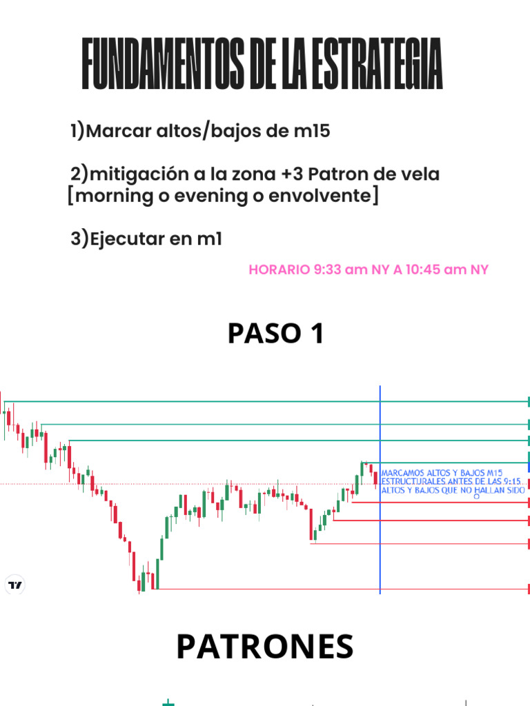 Presentacion Mentoria 1-1 | PDF
