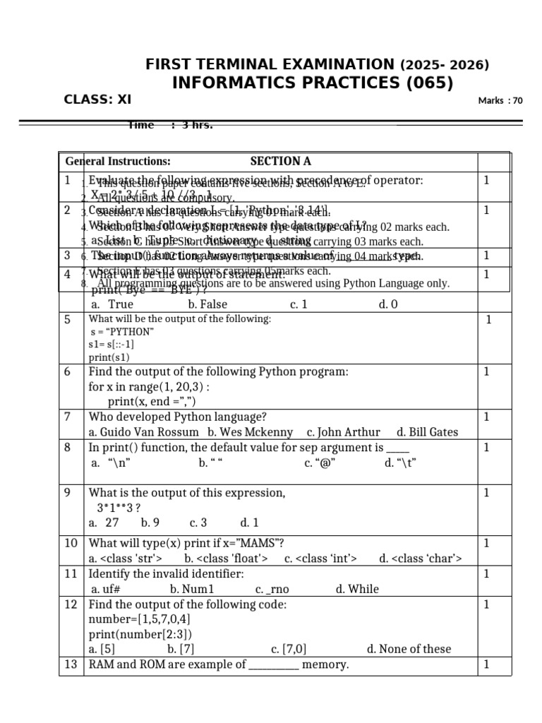 ClassXI Term1 IP Upload | PDF | Computing | Office Equipment