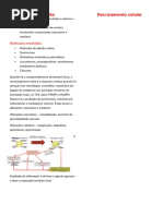 Entendendo a Quimiotaxia | PDF | Quimiotaxia | Sistema imunológico
