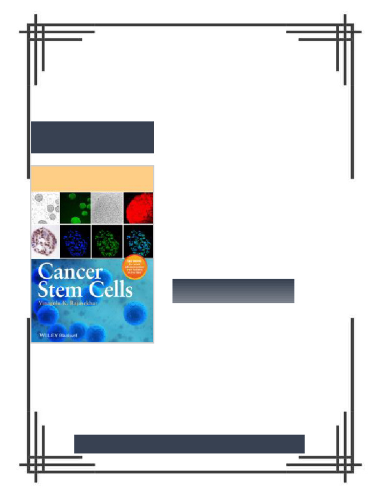 Cancer Stem Cells 1st Edition Vinagolu K. Rajasekhar ebook direct ...