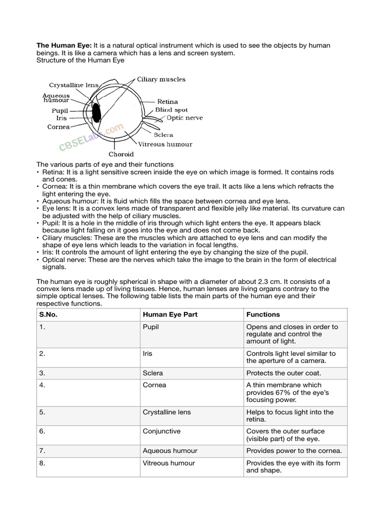 The Human Eye It Is A Natural Optical Instrument Which Is Used To | PDF ...