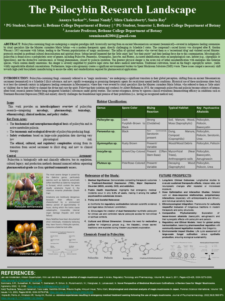 Psilocybin Fungi: Research and Risks | PDF | Psilocybin | Psychoactive ...