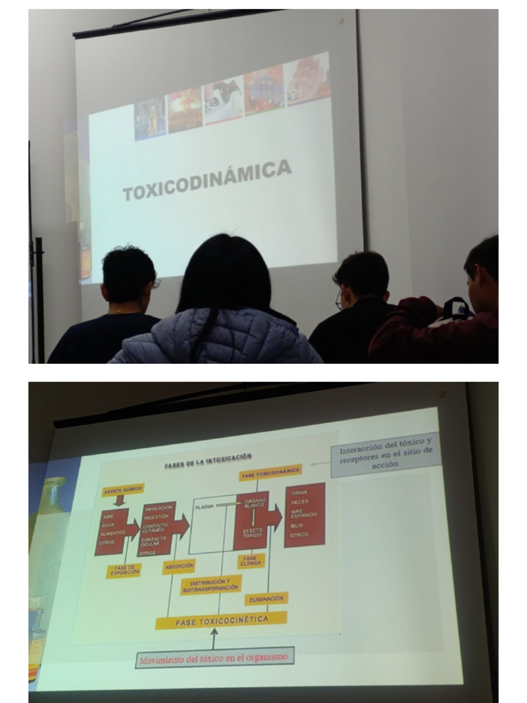 Toxic Odin A Mica | PDF
