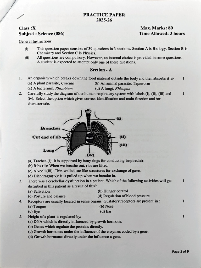 Practice Paper Science Class X | PDF