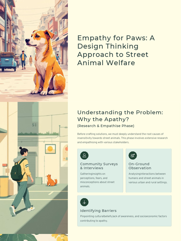 Empathy For Paws A Design Thinking Approach To Street Animal Welfare ...