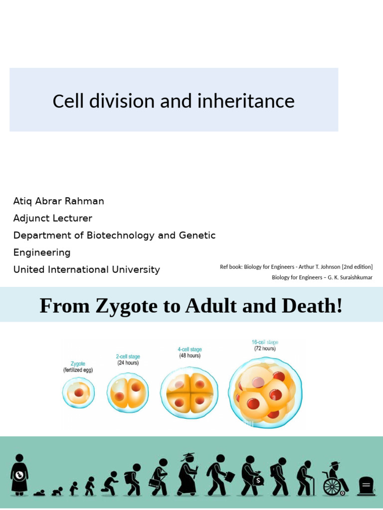 Updated Cell Division Slide | PDF | Meiosis | Mitosis