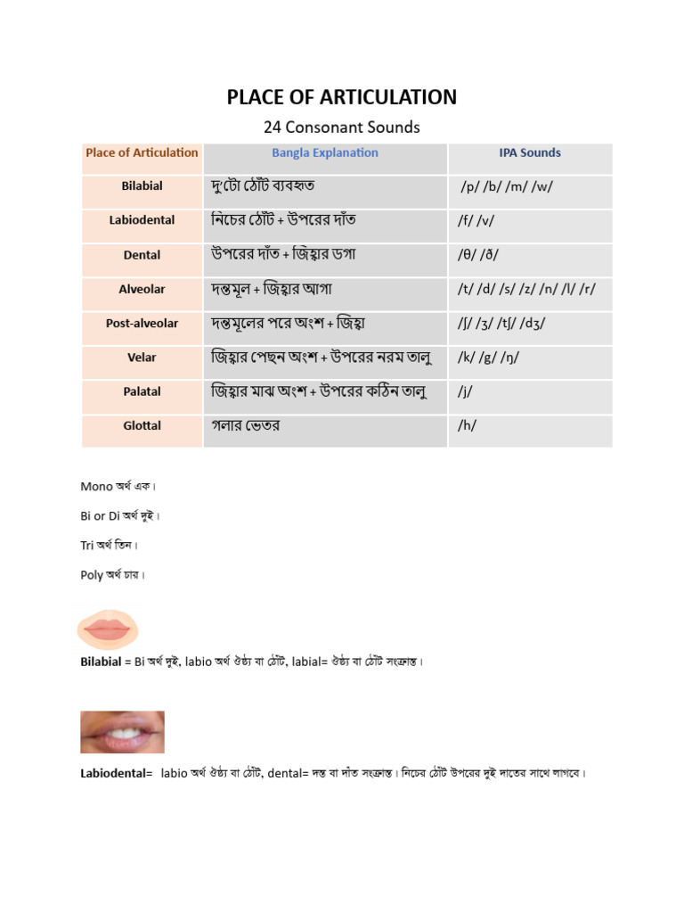 Consonant Sounds and Articulation Guide | PDF | Linguistics | Human Voice