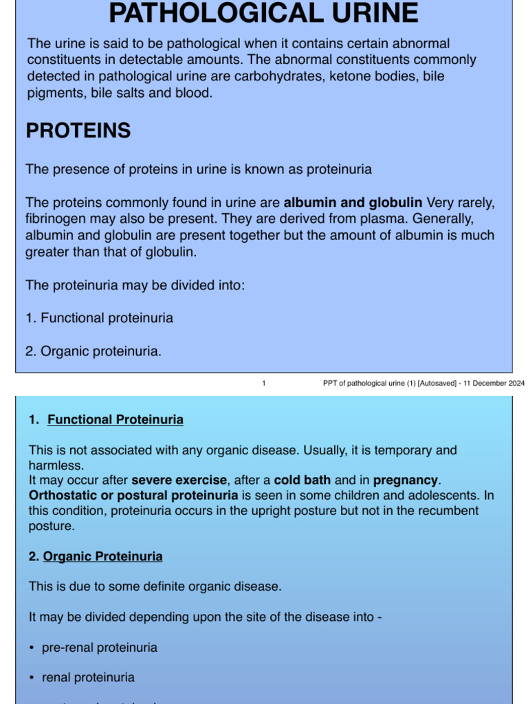 of Pathological Urine (1) (Autosaved) | PDF | Kidney