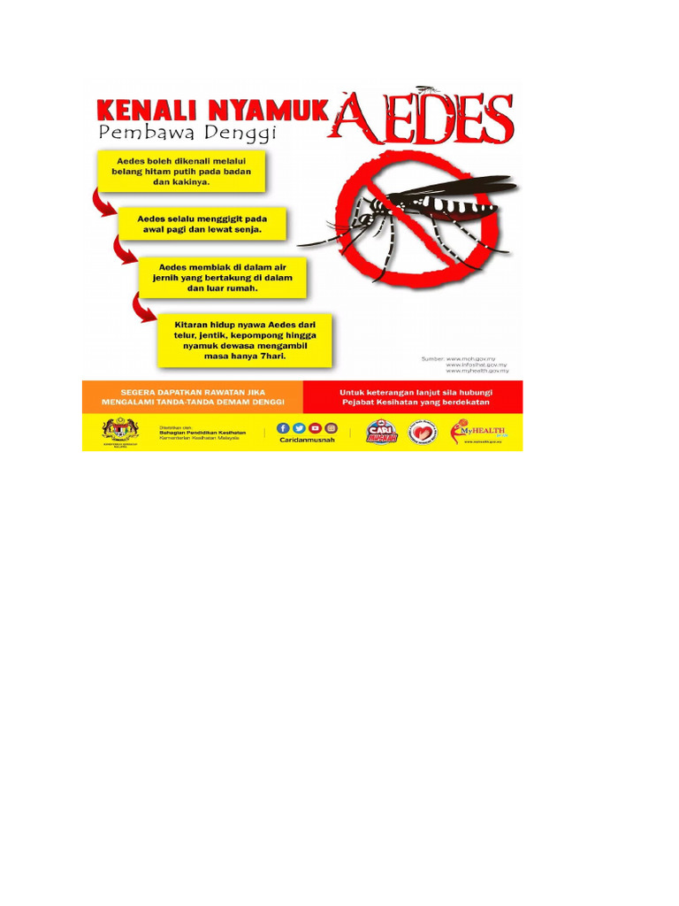 Denggi | PDF