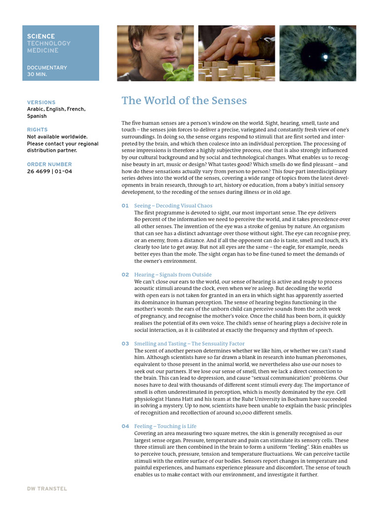 Exploring the Five Human Senses | PDF | Senses | Perception