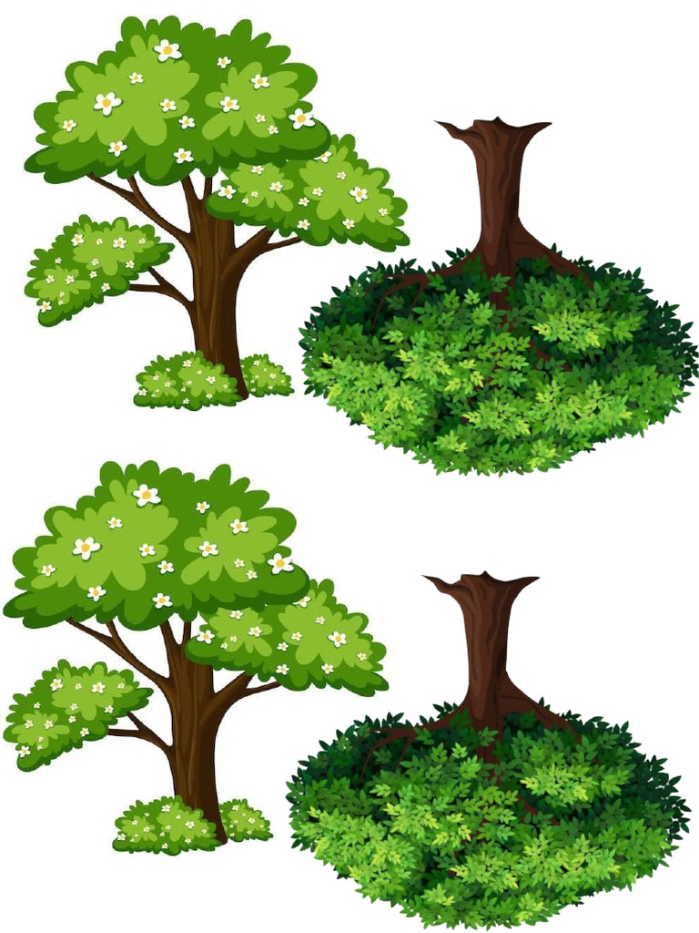 Tree | PDF