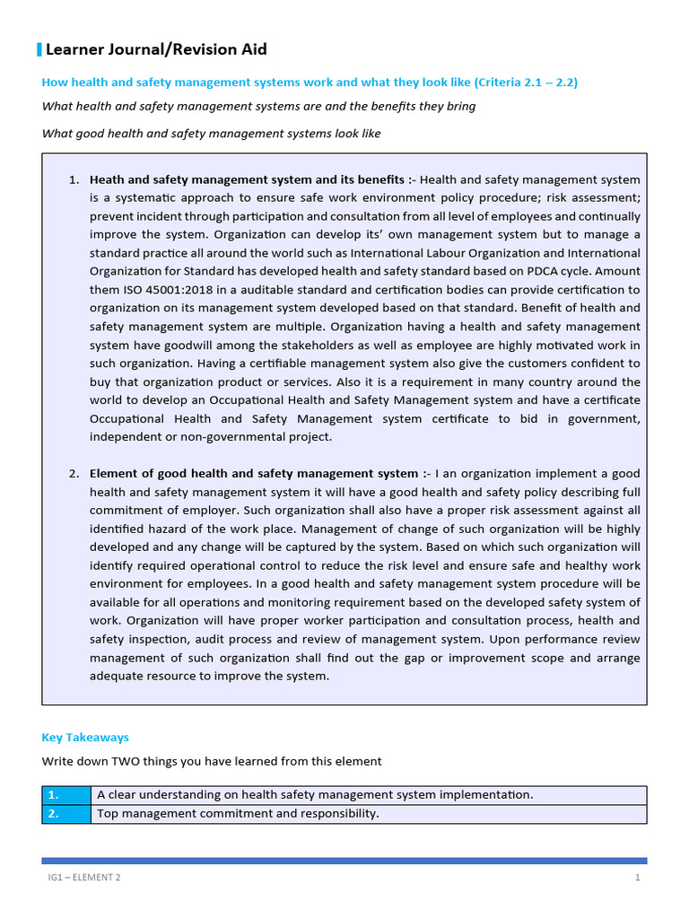 Health and Safety Management Systems Guide | PDF