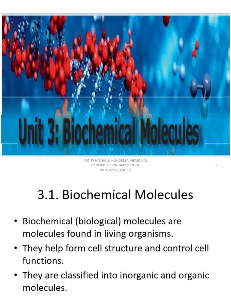 Unit 3 Biochemical Molecules - NOTE | PDF | Molecules | Water