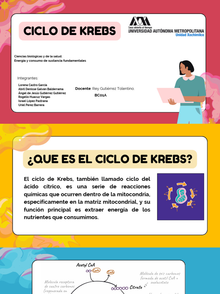 Funciones y Regulación del Ciclo de Krebs | PDF | Ciclo del ácido ...