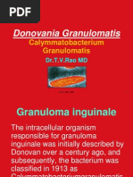 Weekly Urticaria Activity Score | PDF