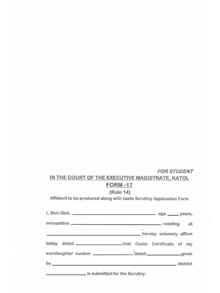 Form 17 | PDF