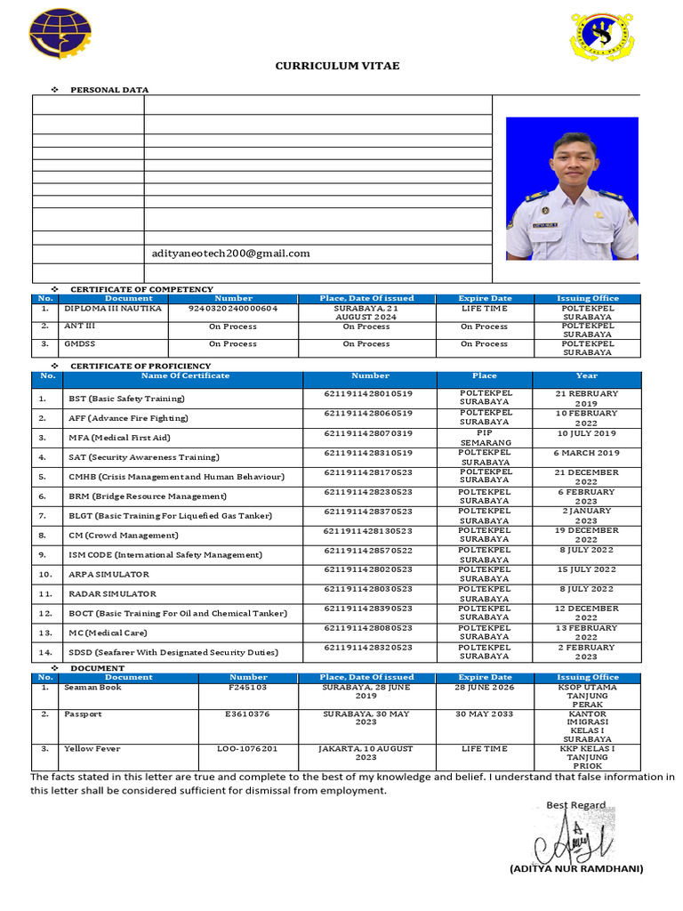 CV Kemenhub Aditya Nur Ramdhani | PDF | Chess Theory