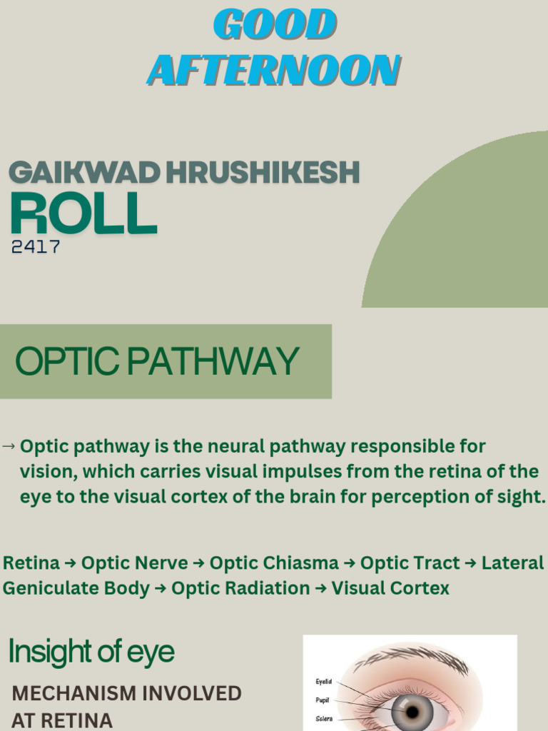Understanding the Optic Pathway | PDF