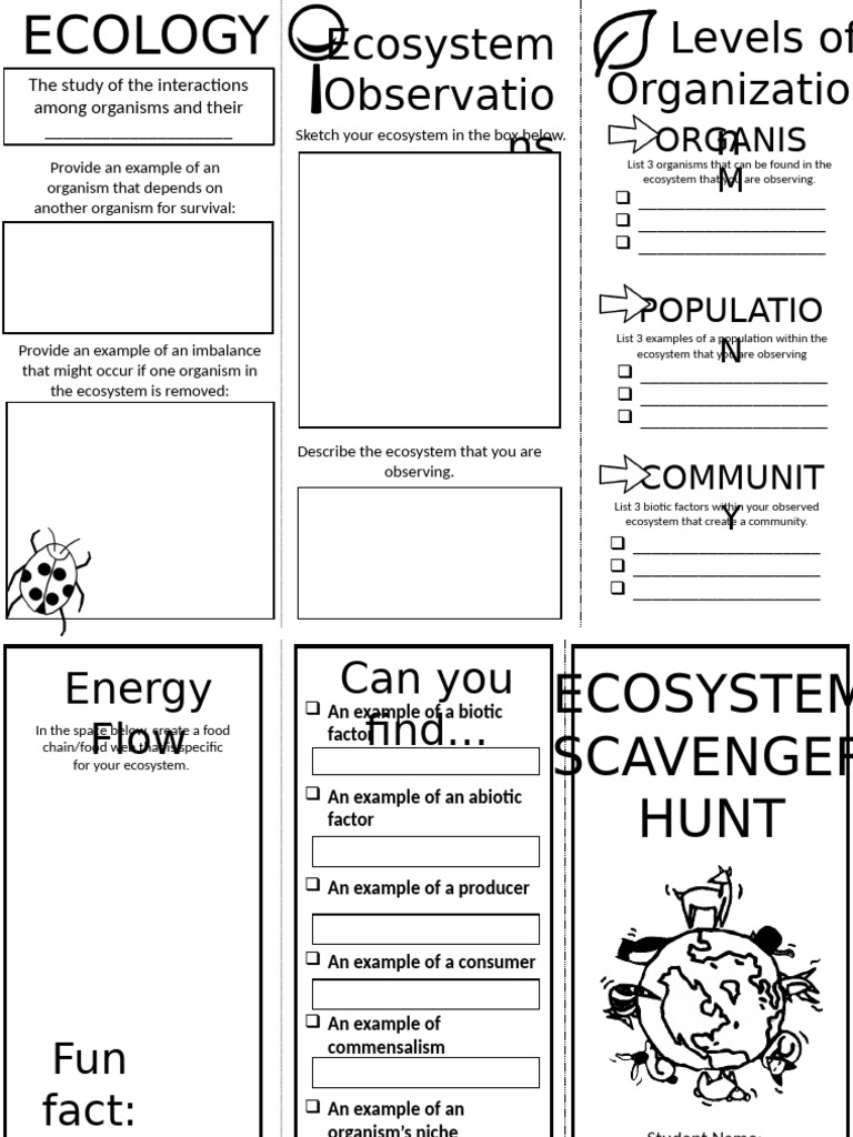 Ecosystem Scavenger Hunt Guide | PDF | Ecosystem | Ecological Niche