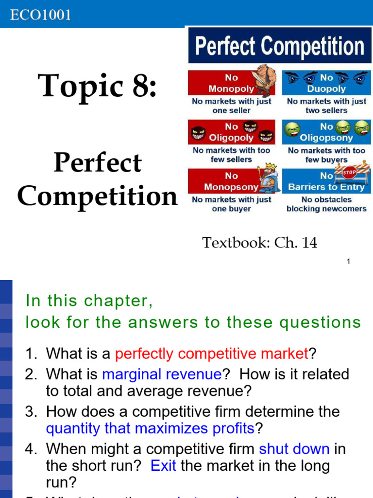 08 Perfect Competition Stu | PDF | Profit (Economics) | Perfect Competition