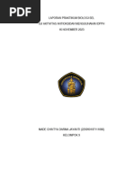 Uji Aktivitas Antioksidan DPPH | PDF
