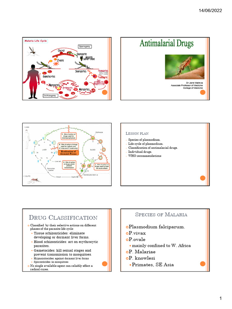 16.antimalarial Drugs - 14.6.22 | PDF | Malaria | Plasmodium