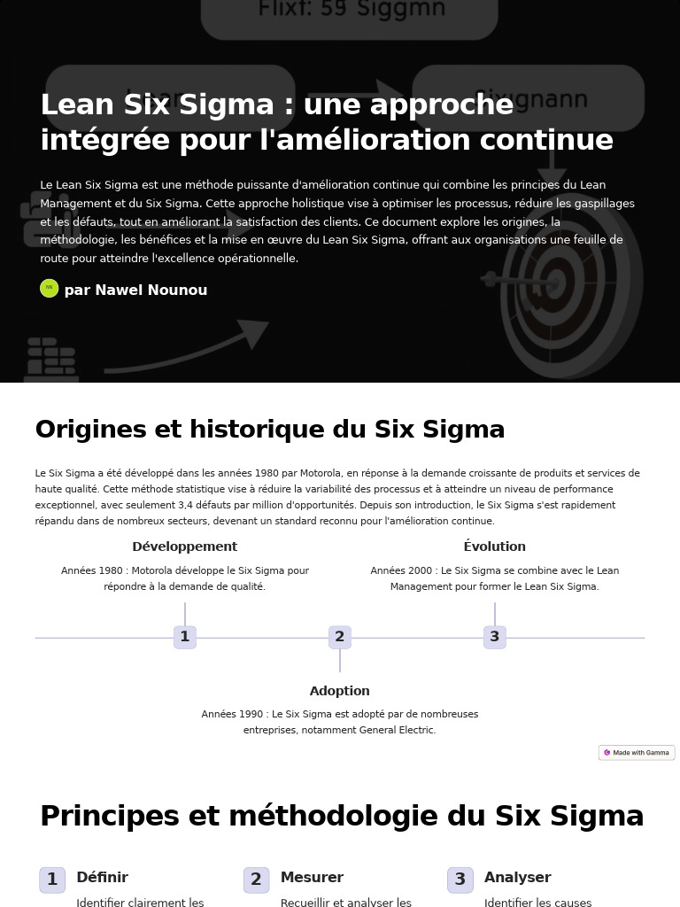 Lean Six Sigma : Optimisation des Processus | PDF | Six Sigma | Lean ...