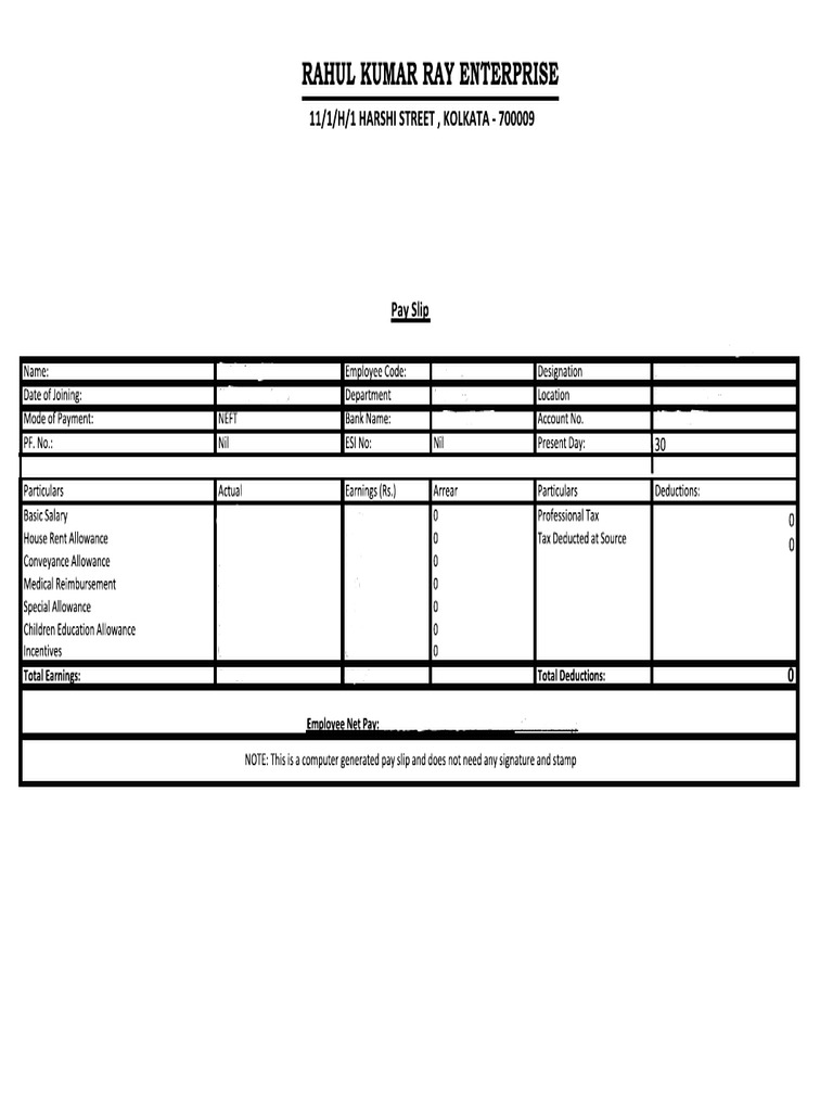 November Pay Slip | PDF