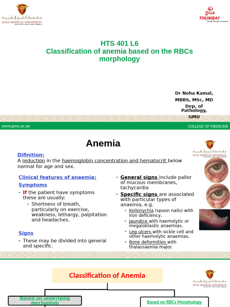 Anemia Classification and Diagnosis Guide | PDF | Anemia | Clinical ...