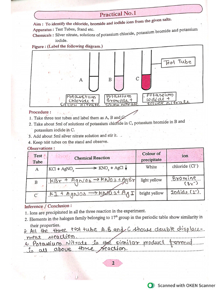 Std.10th Science Practical | PDF