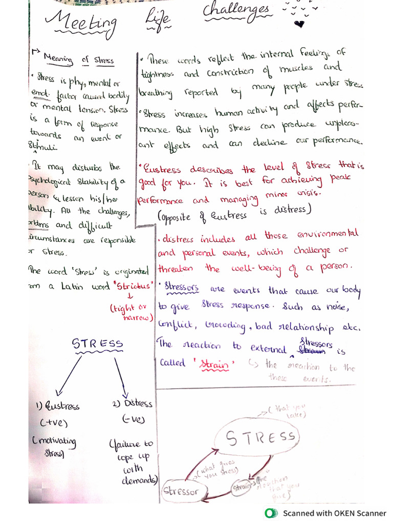Meeting Life Challenges Class 12 Psychology (Handwritten Notes of ...