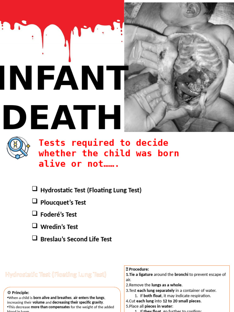Infant Death | PDF | Lung | Respiratory System